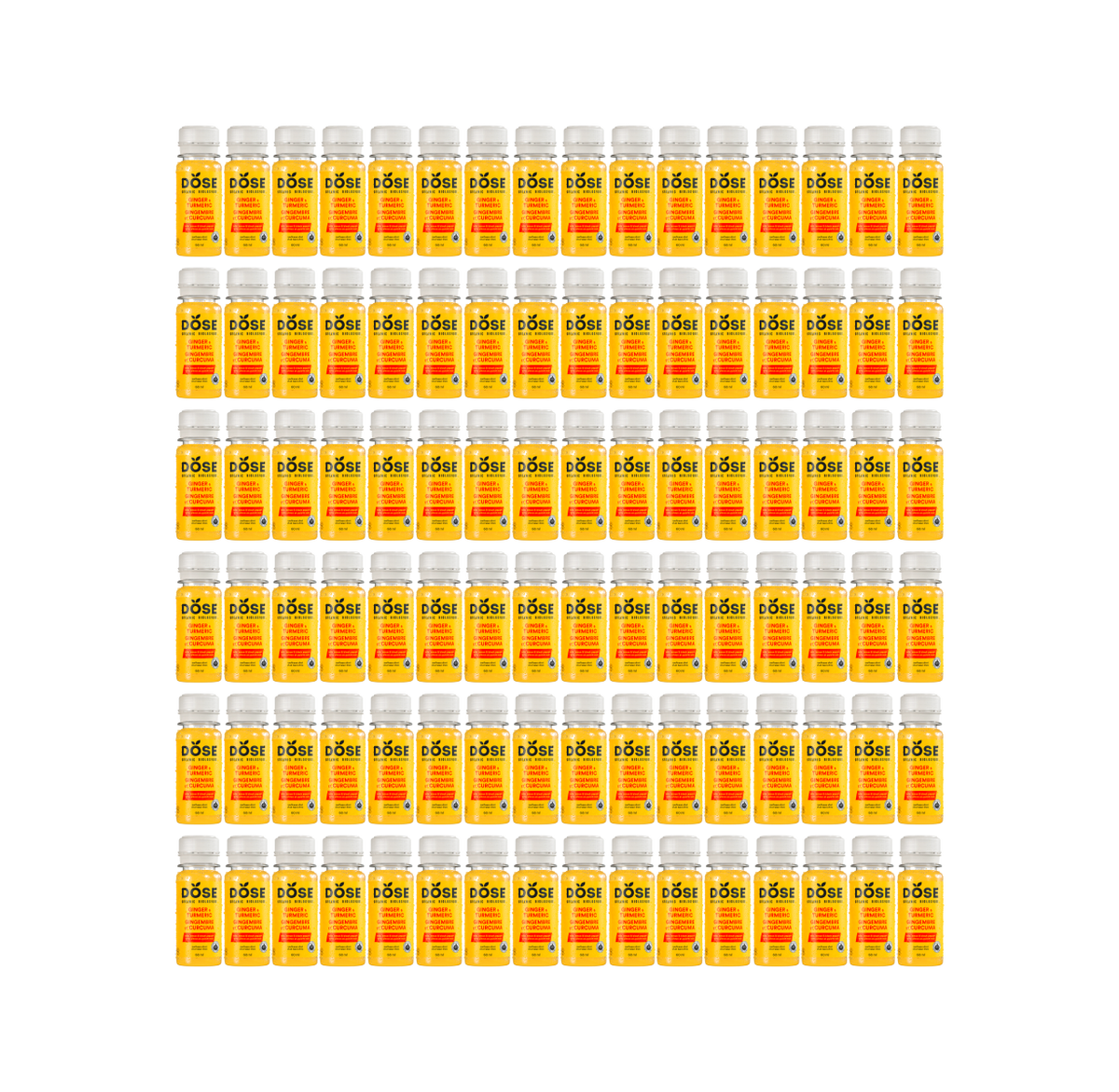 GINGER & TURMERIC – 96 organic cold pressed shots 60ml - Dose Juice