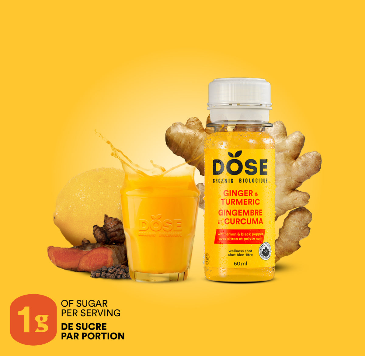 GINGER & TURMERIC - 36 organic cold pressed shots 60ml - Dose Juice