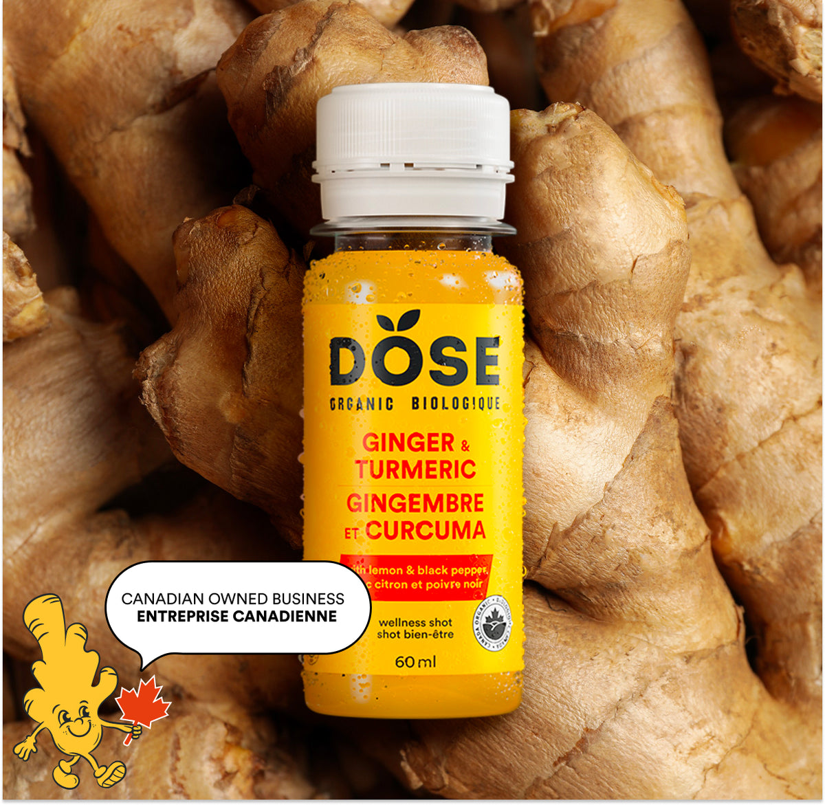 GINGER & TURMERIC - 12 organic cold pressed shots 60ml - Dose Juice