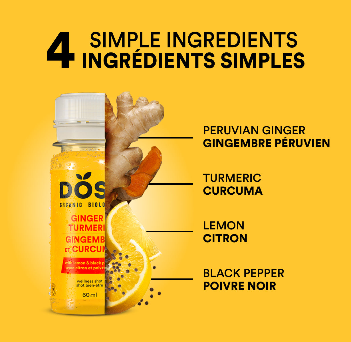 GINGER & TURMERIC - 12 organic cold pressed shots 60ml - Dose Juice