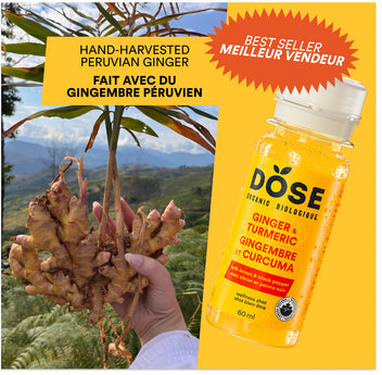 GINGER & TURMERIC 60ml - Organic cold pressed shot - Dose Juice