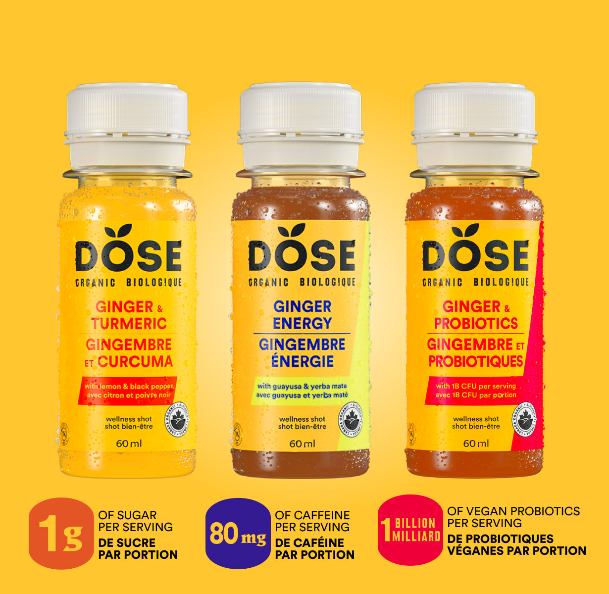 SHOTS VARIETY PACK - 12 cold-pressed shots 60ml - Dose Juice
